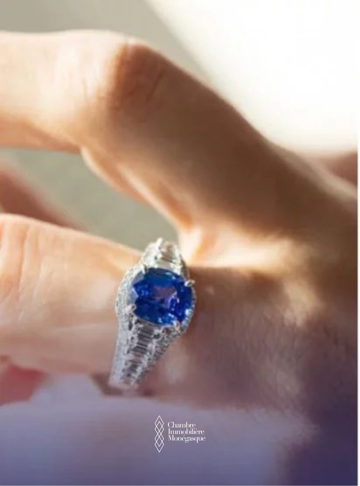 A vendre ; Cession – Maison de gemmologie de référence en Principauté ...